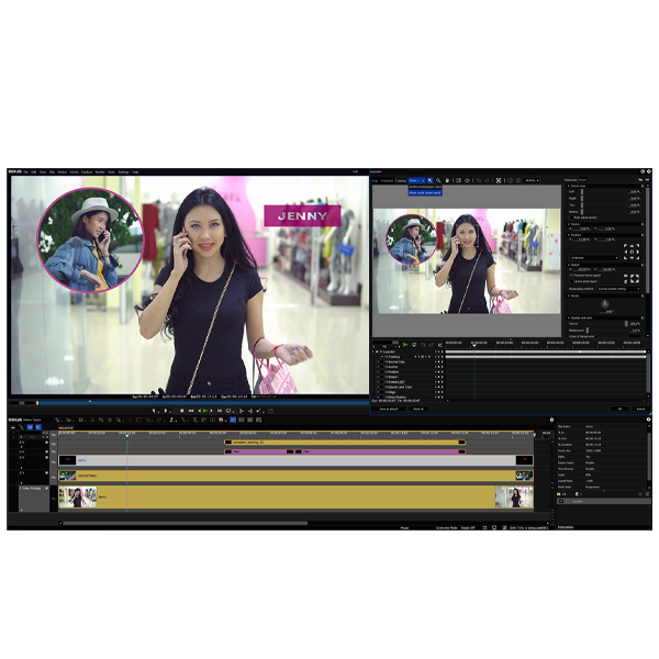 EDIUS X Pro | Video Editing Software (Upgrade) - EditPoint India